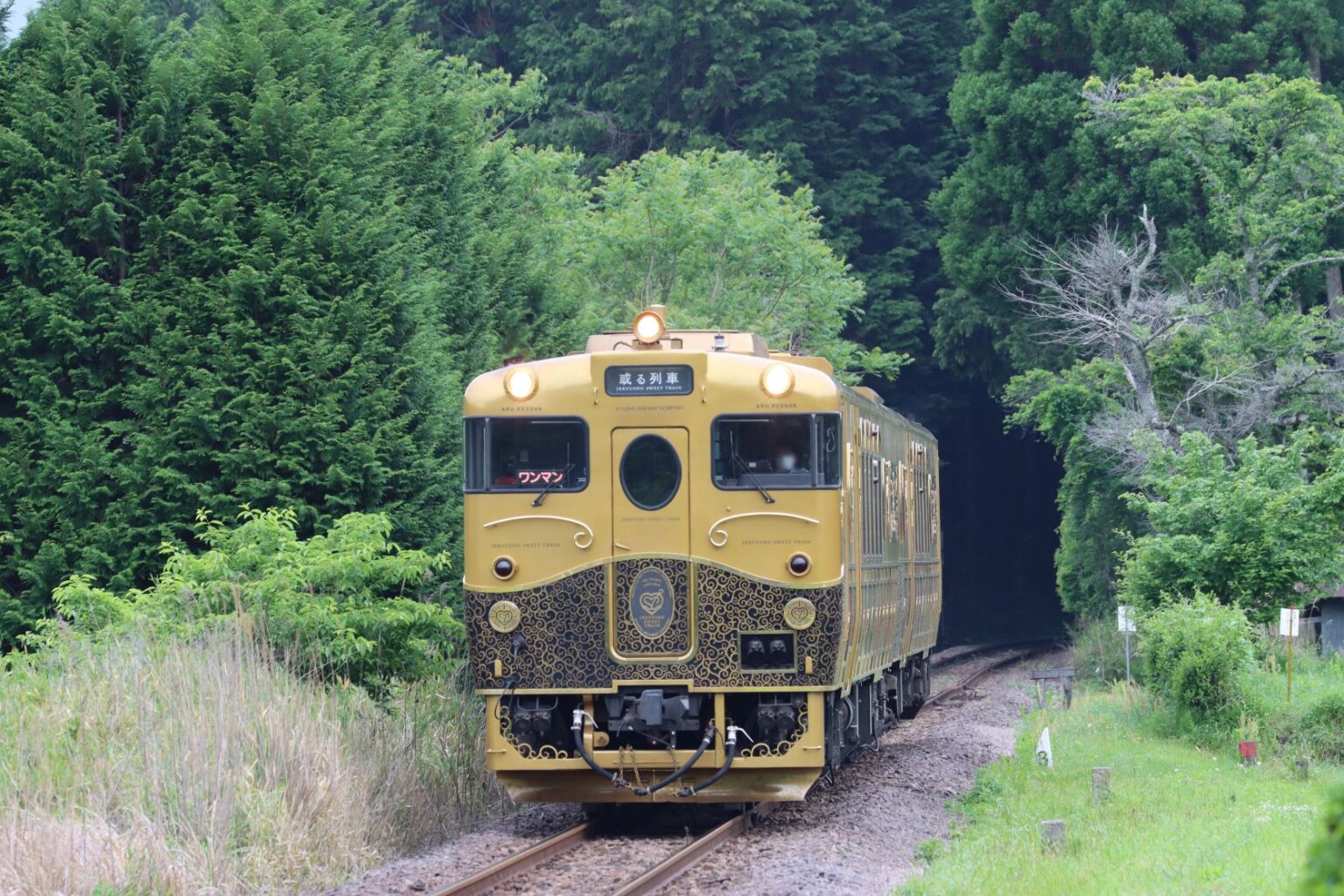 JR九州の列車を撮る！＜久大本線編＞ - meihan-rail.
